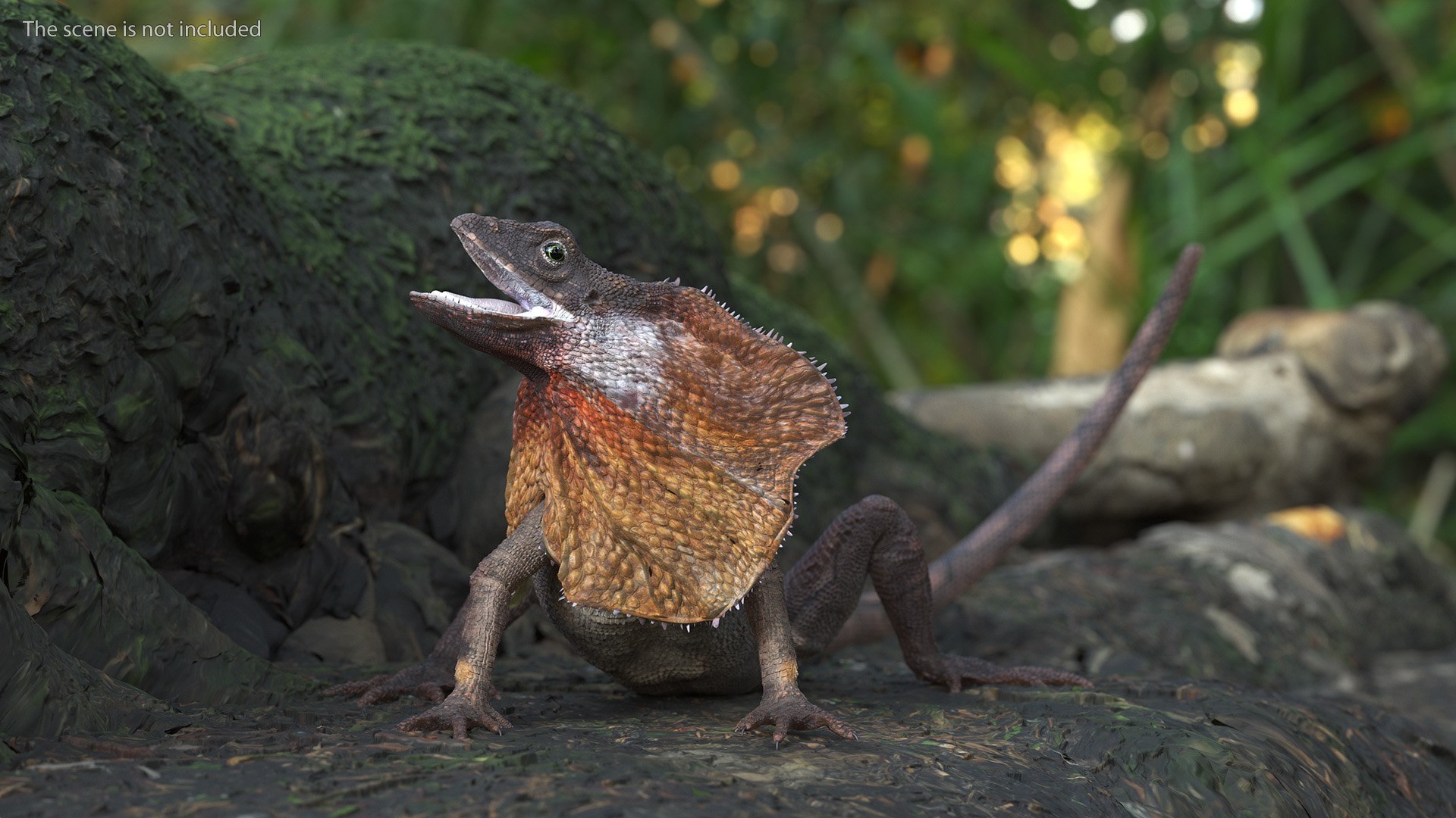 3D Frillneck Lizard Rigged Model - TurboSquid 2265947