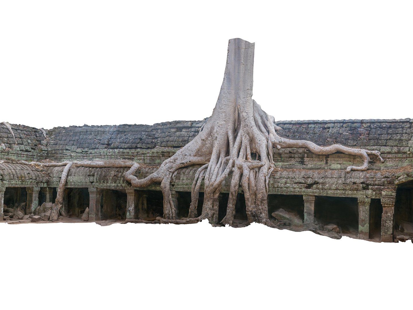 ancient tree temple 16 3d model