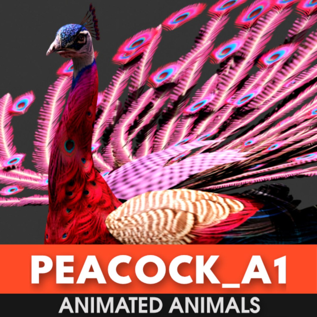 Peacock-A1 3D Model - TurboSquid 2379388