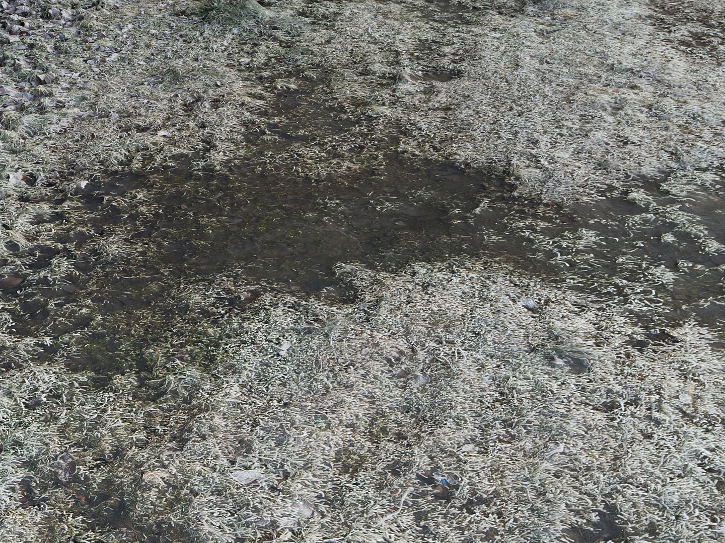 3d model frozen 16k hd