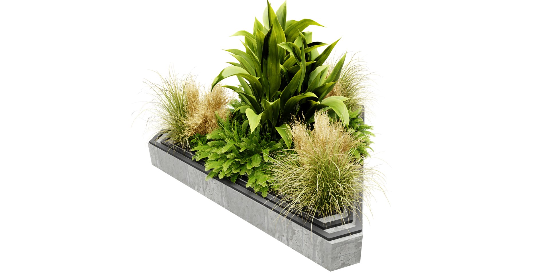 Collection plant vol 519 - blender model 3D model - TurboSquid 2113636