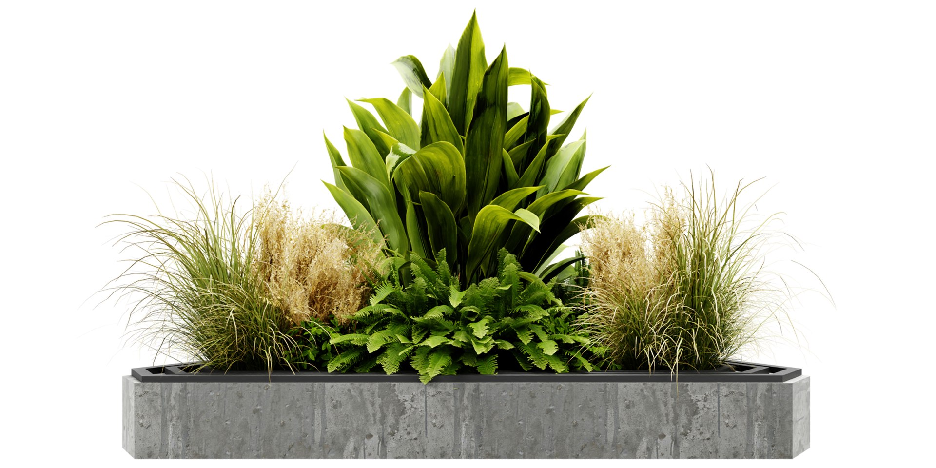 Collection plant vol 519 - blender model 3D model - TurboSquid 2113636