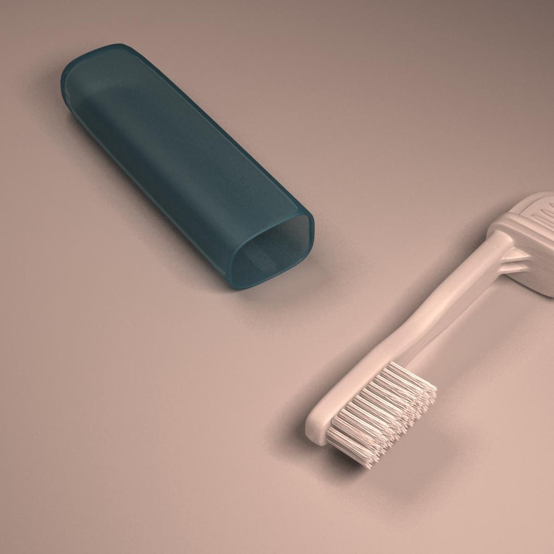 3ds max portable toothbrush