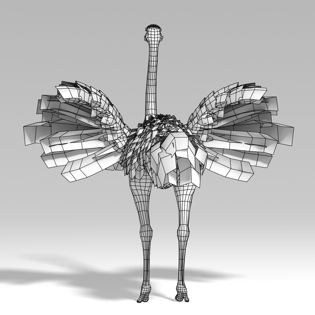 3d ostrich