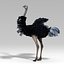 3d ostrich