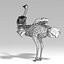 3d ostrich