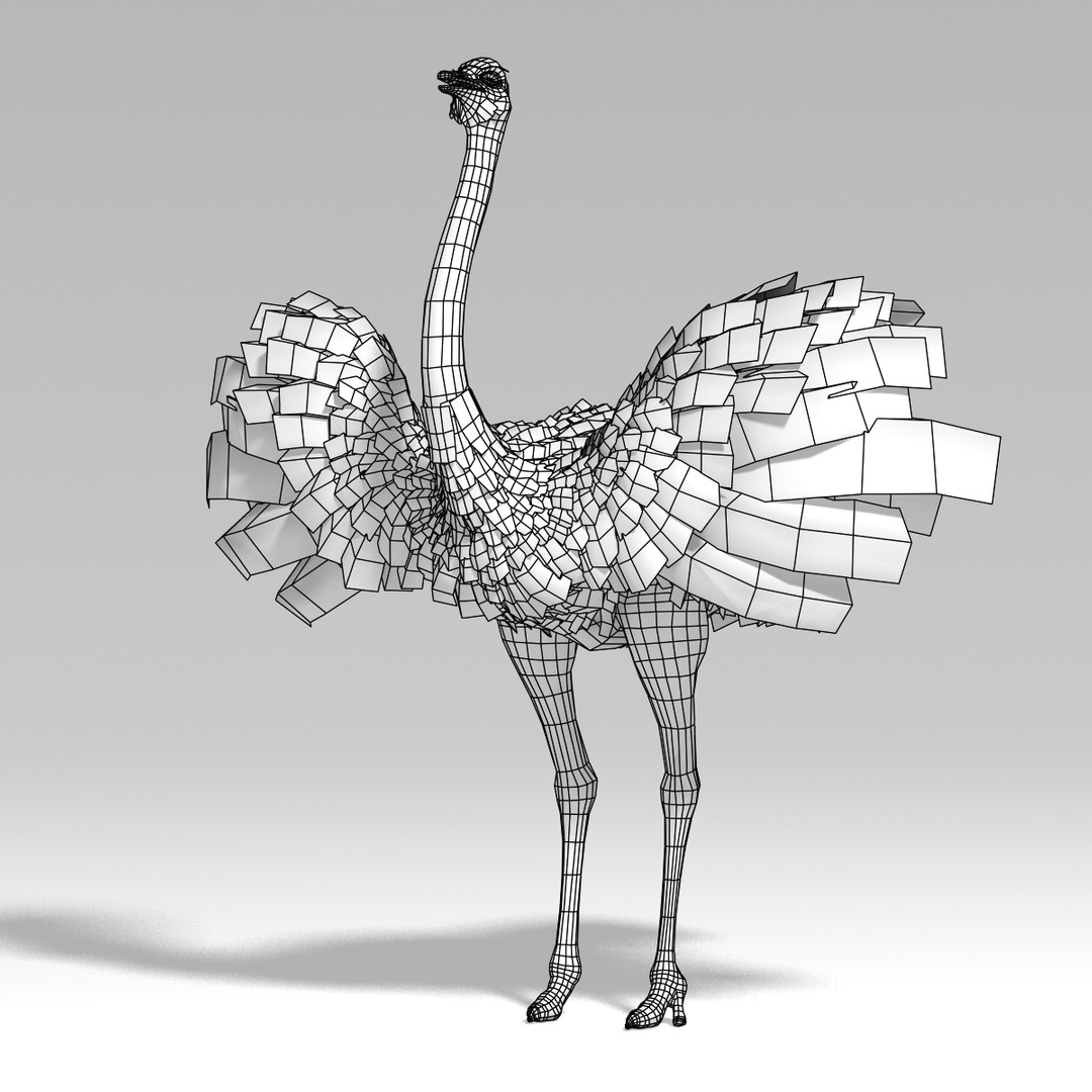 3d ostrich