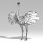 3d ostrich