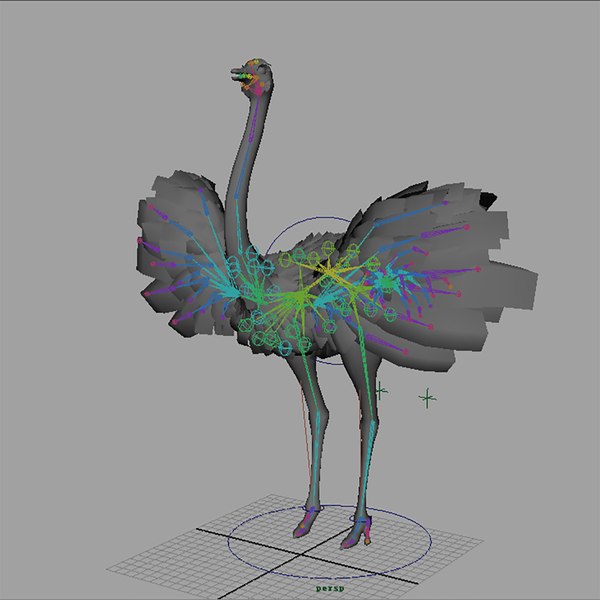 3d ostrich