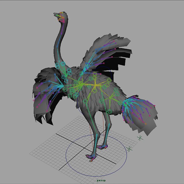 3d ostrich