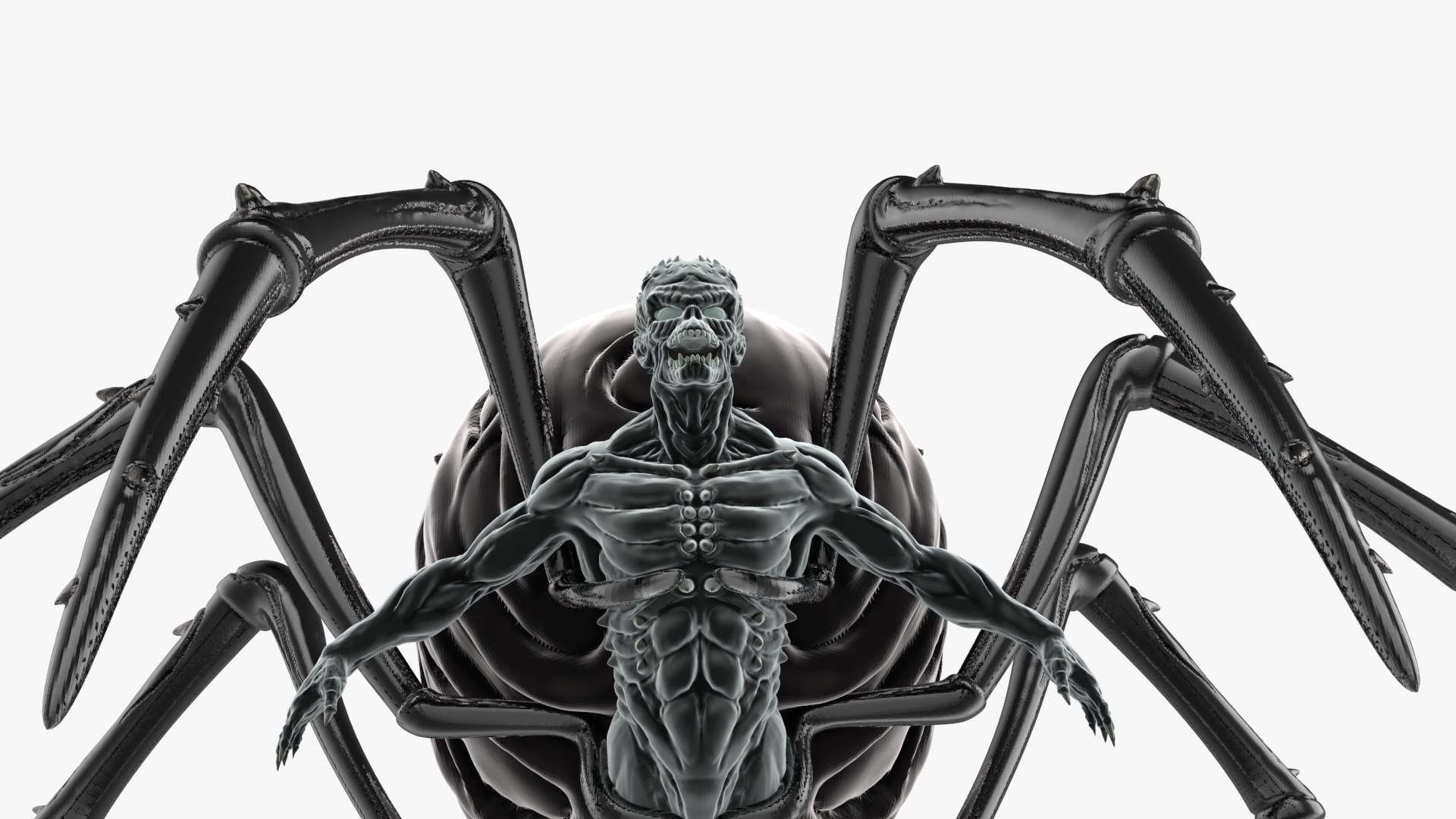 Spider 3D Model - TurboSquid 1964983