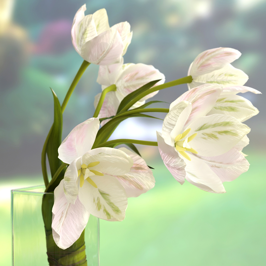3d tulips model