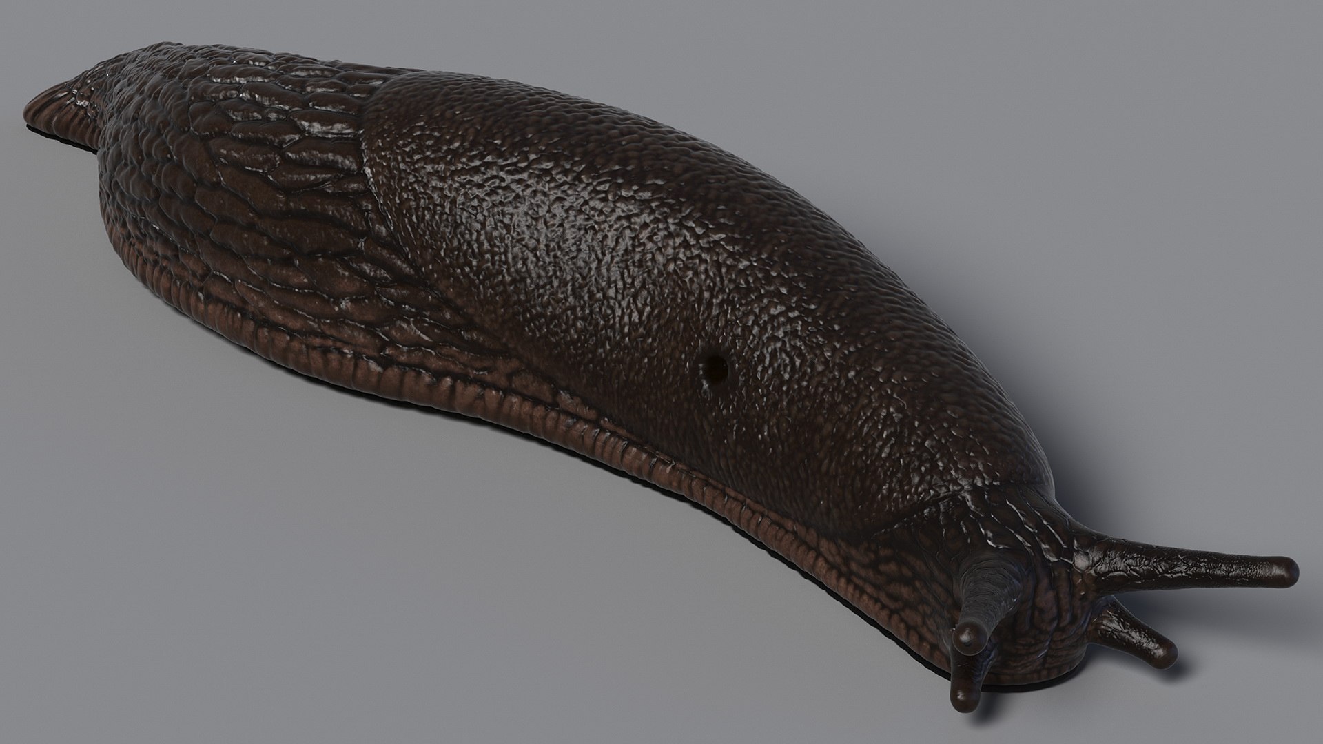 3D Slugs Collection - TurboSquid 2298881