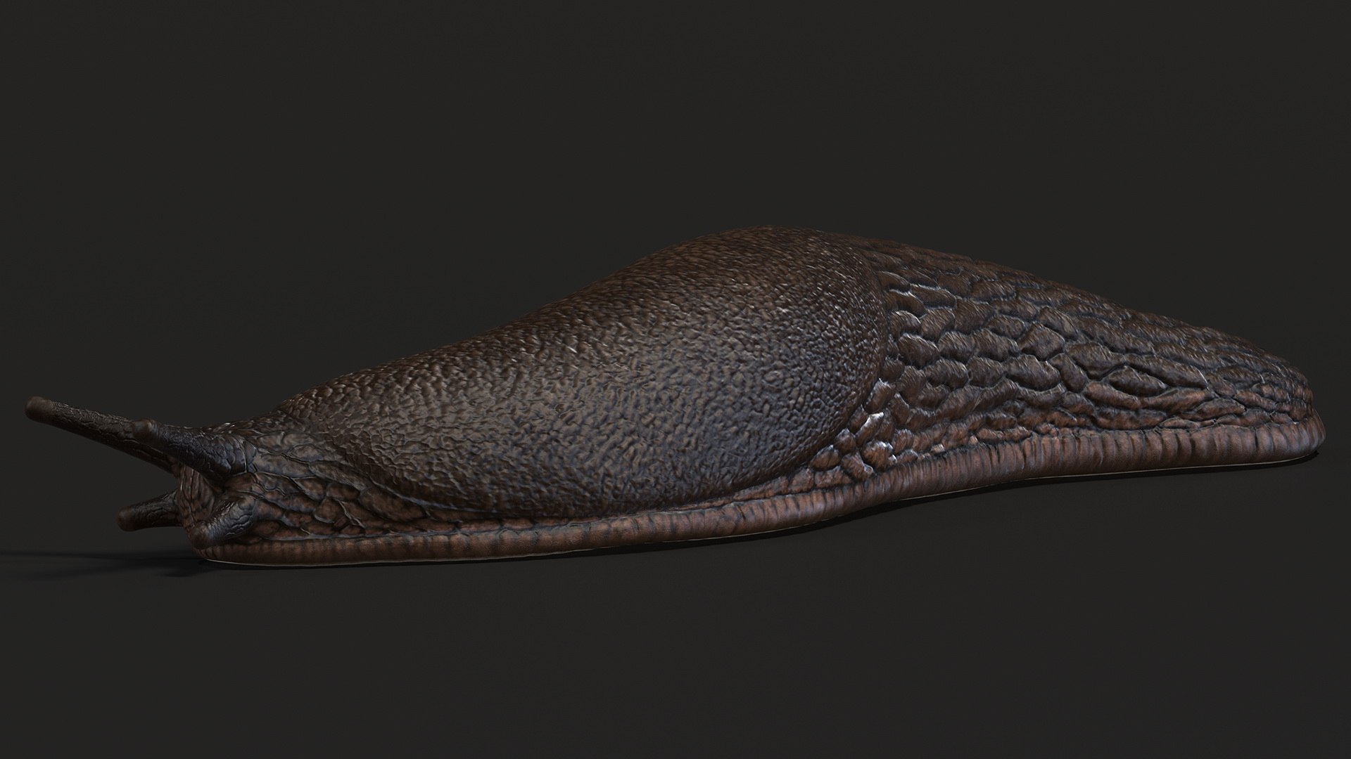 3D Slugs Collection - TurboSquid 2298881