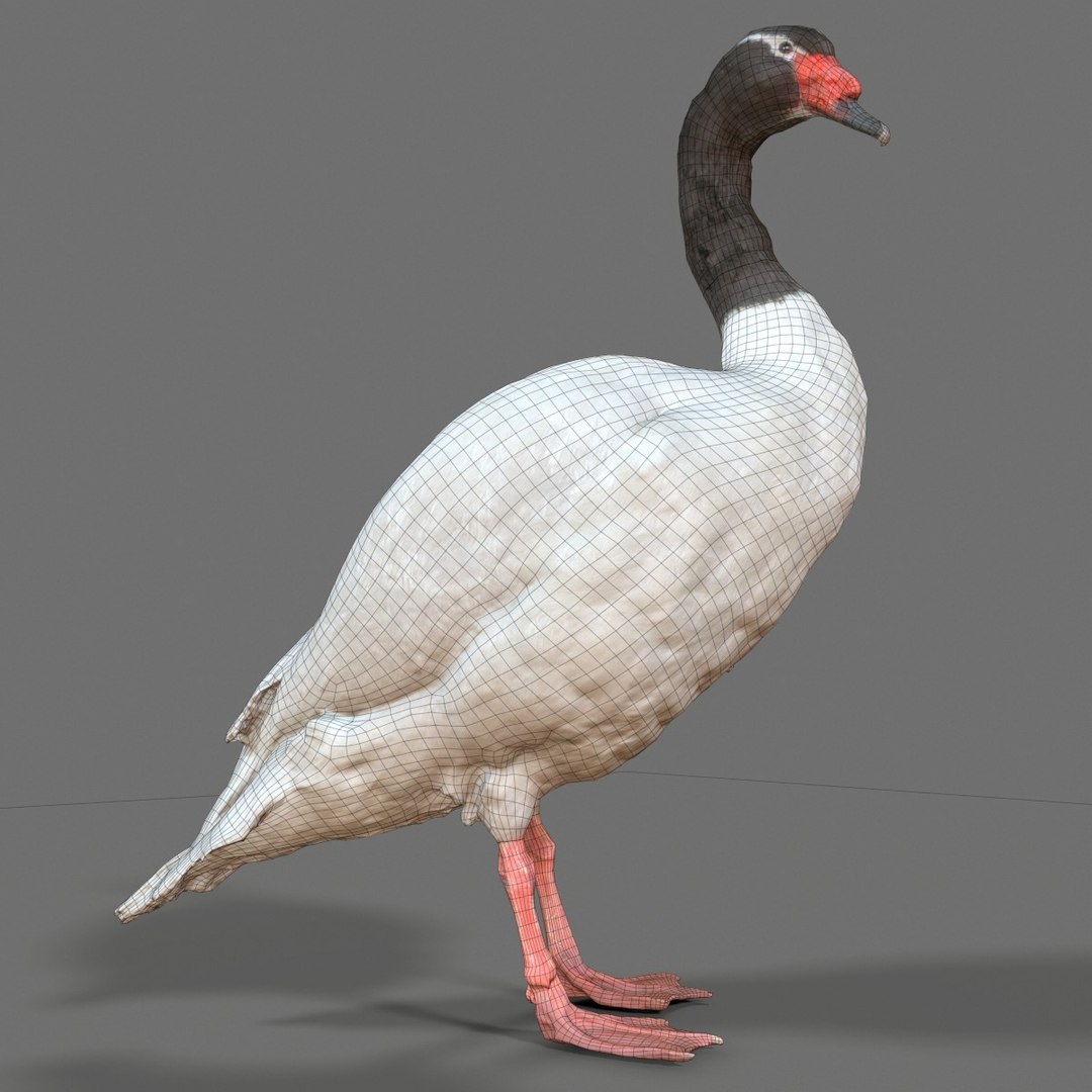 3D Model Animal Scanned Unity - TurboSquid 1171966
