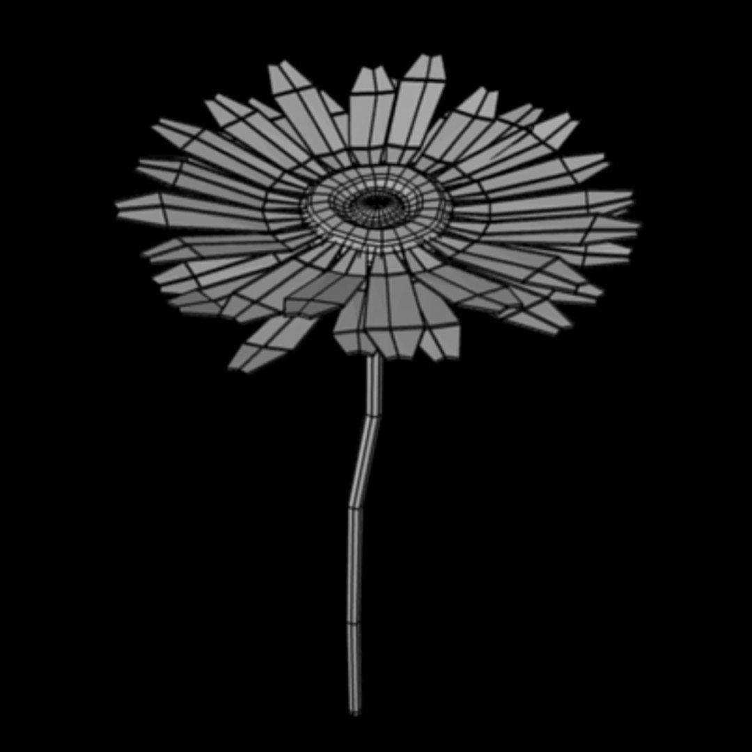 Flowers Gerbera 3d Model