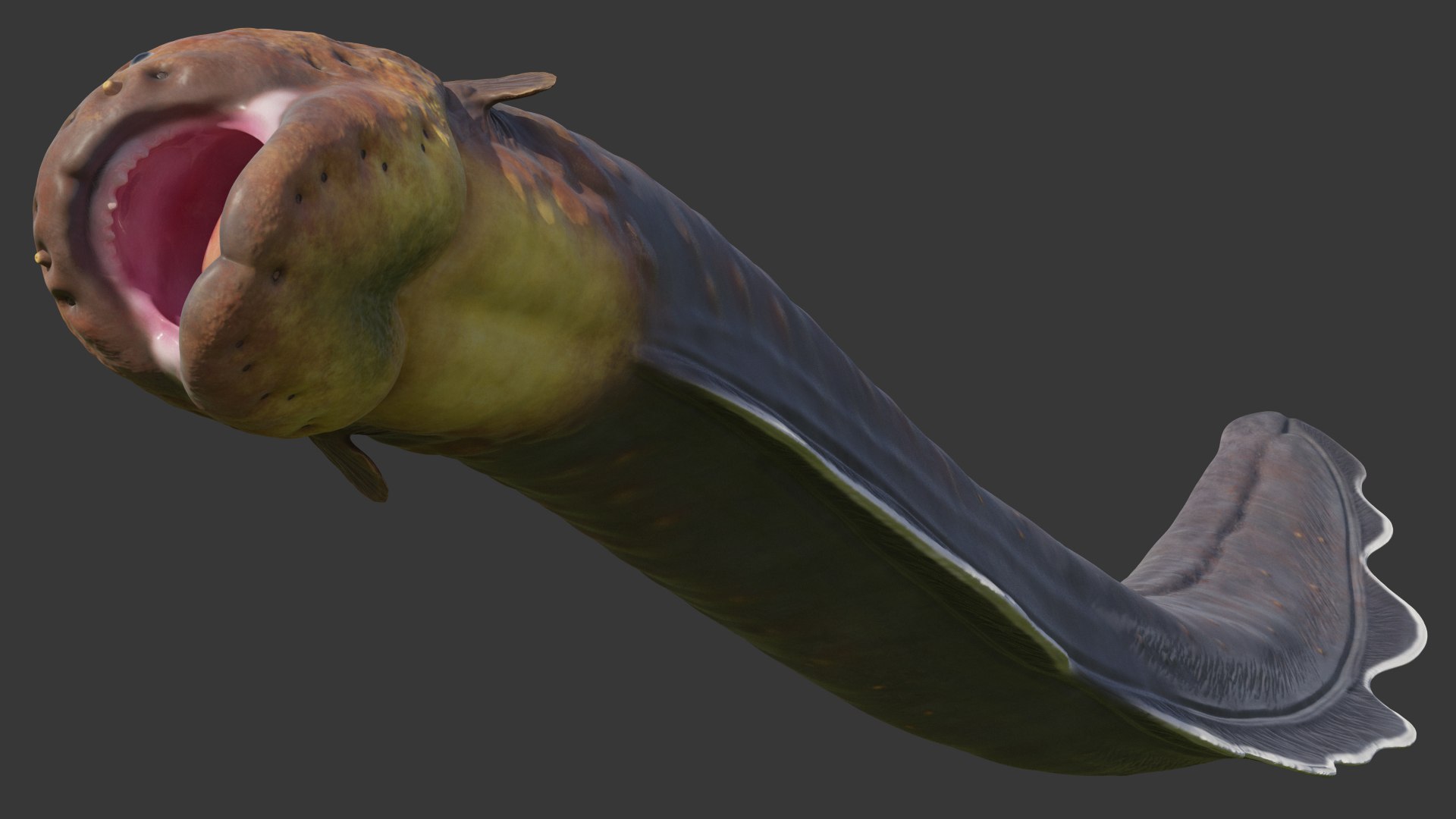 3D Electric Eel Rigged Animal - TurboSquid 1486786