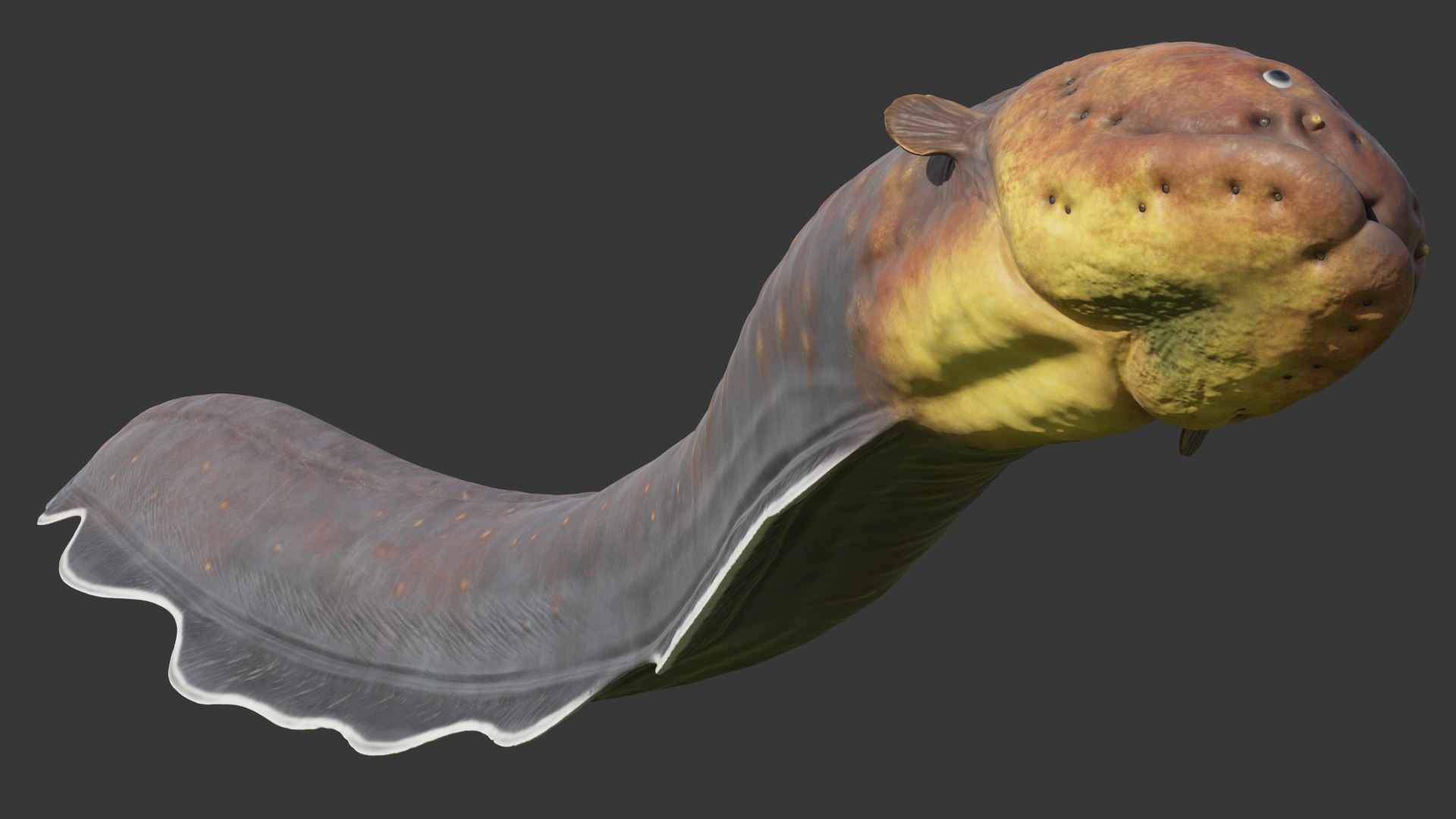 3D Electric Eel Rigged Animal - TurboSquid 1486786