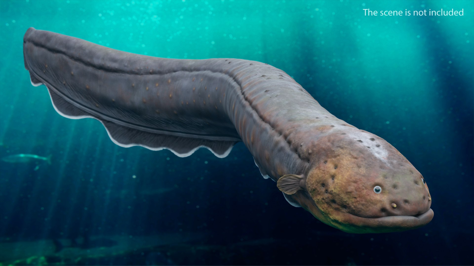 3D Electric Eel Rigged Animal - TurboSquid 1486786