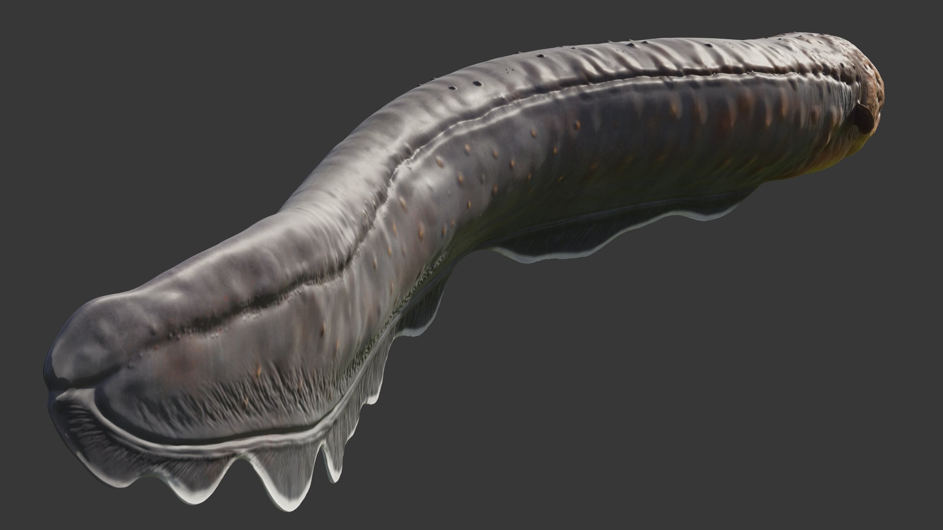 3D Electric Eel Rigged Animal - TurboSquid 1486786