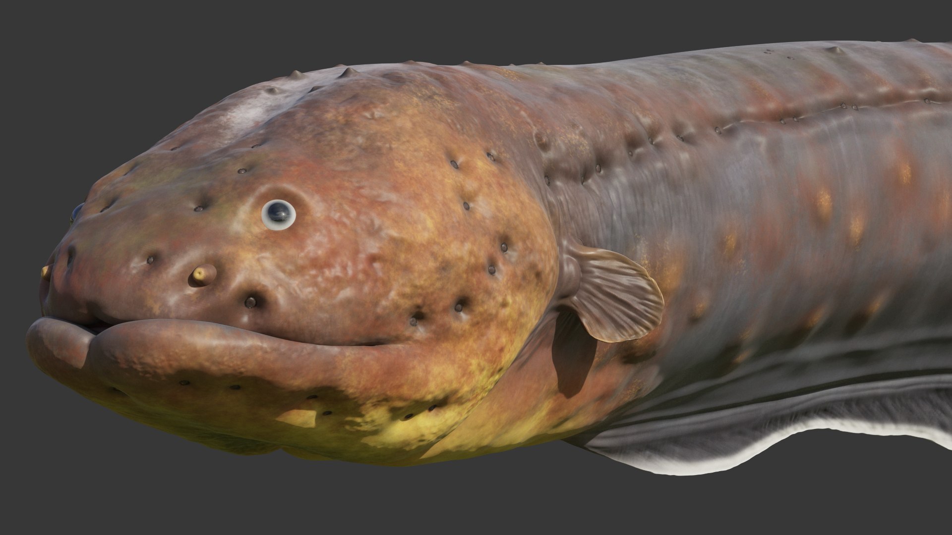 3D Electric Eel Rigged Animal - TurboSquid 1486786