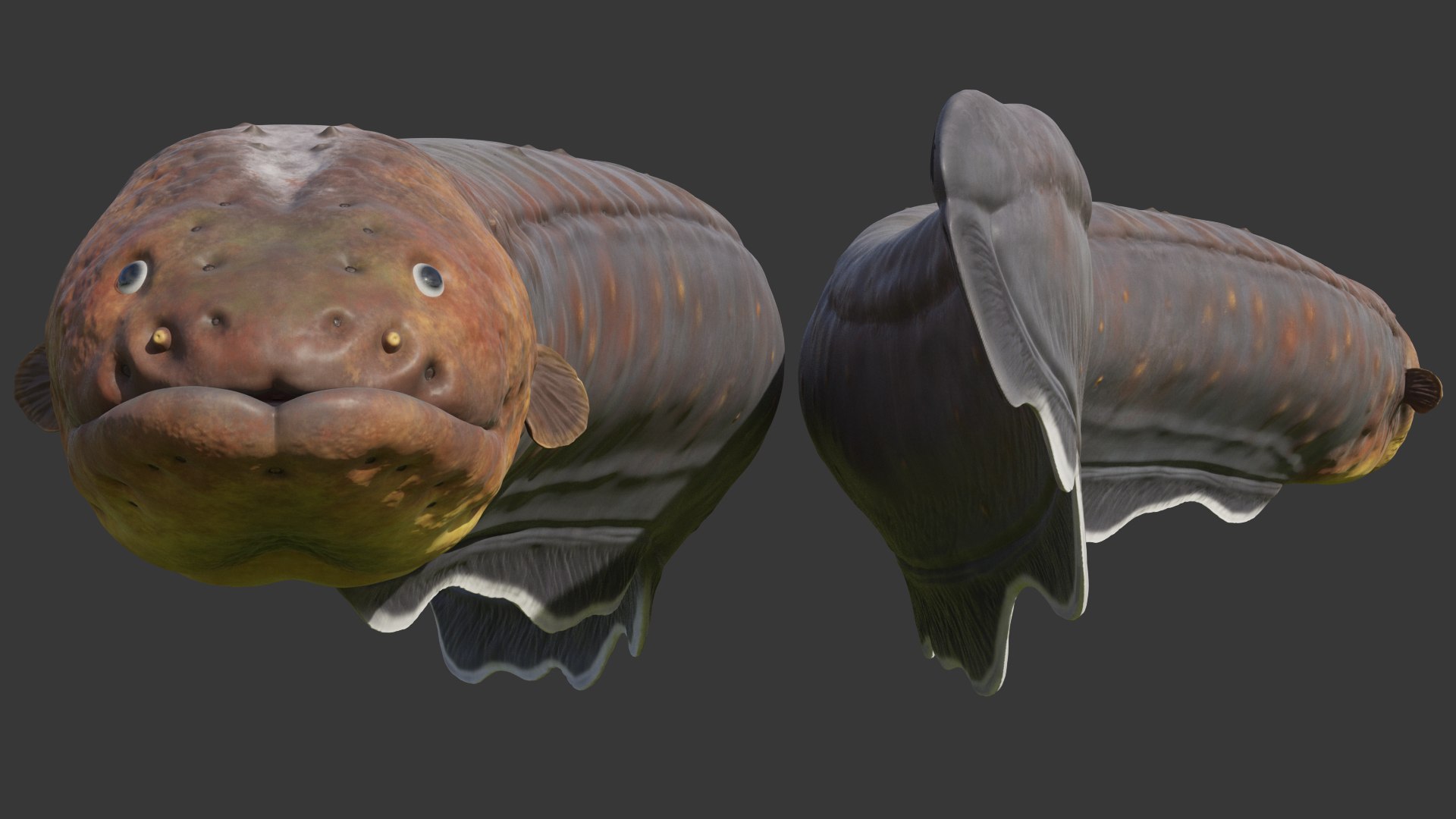 3D Electric Eel Rigged Animal - TurboSquid 1486786