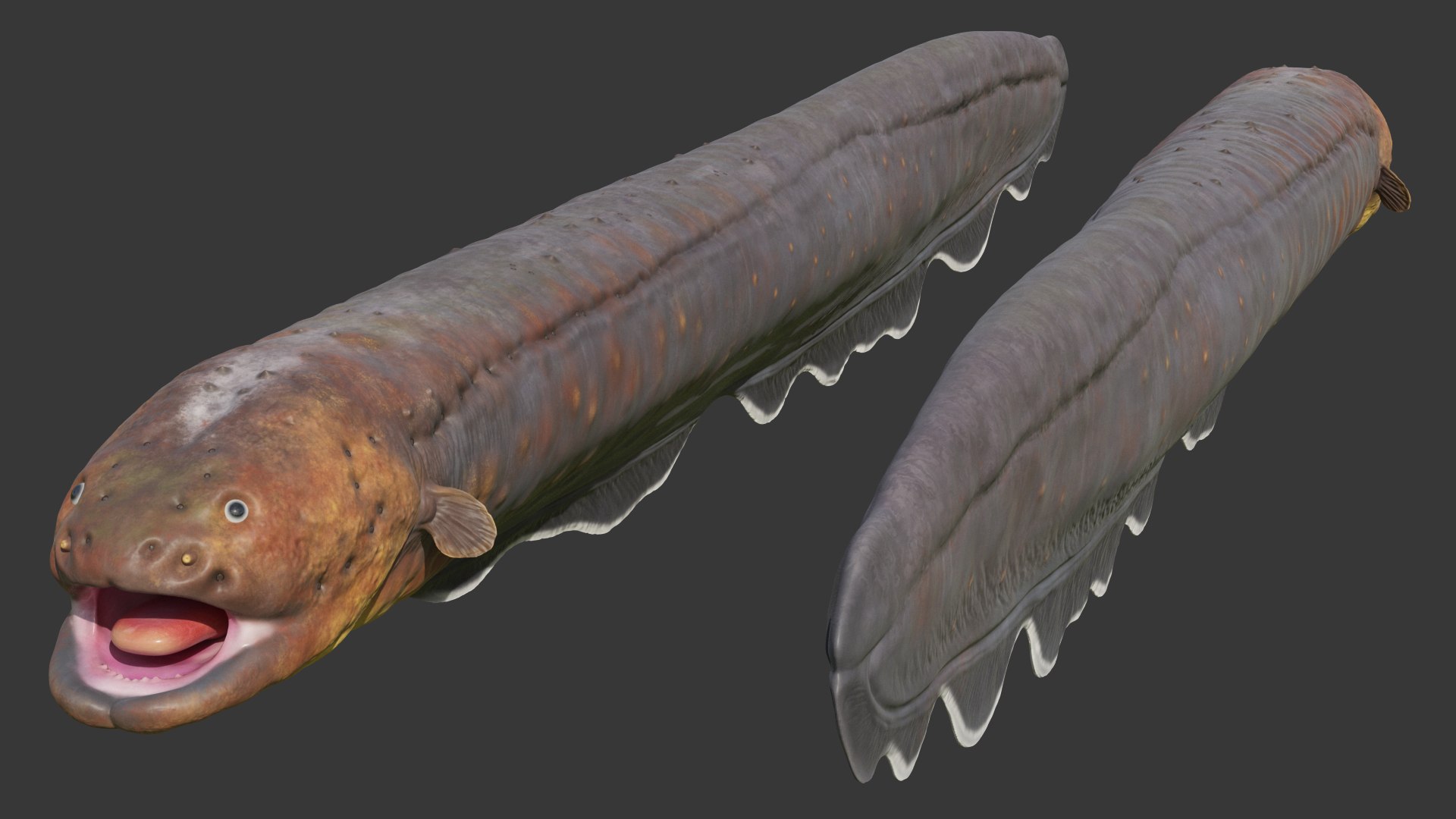 3D Electric Eel Rigged Animal - TurboSquid 1486786