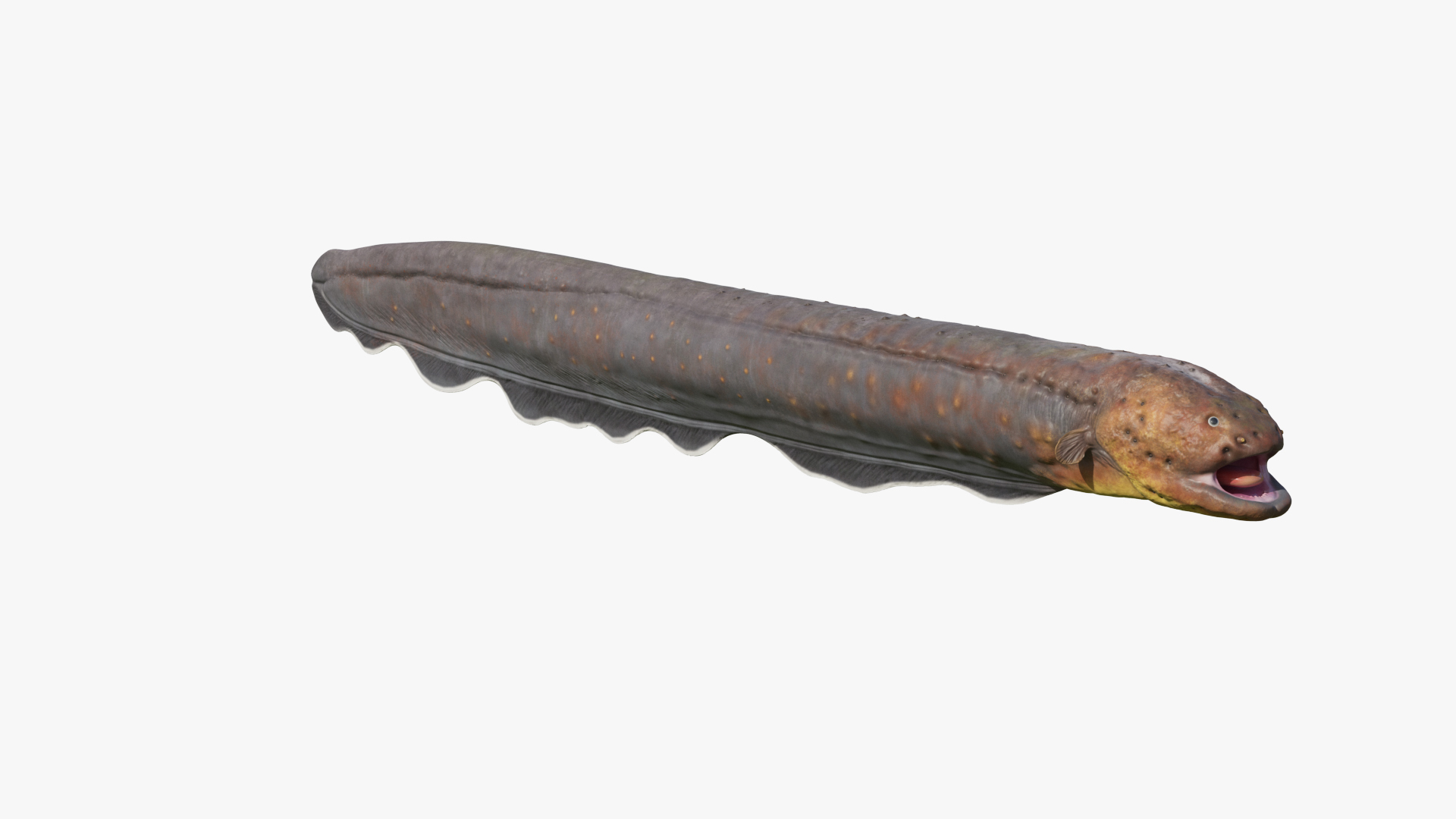 3D Electric Eel Rigged Animal - TurboSquid 1486786