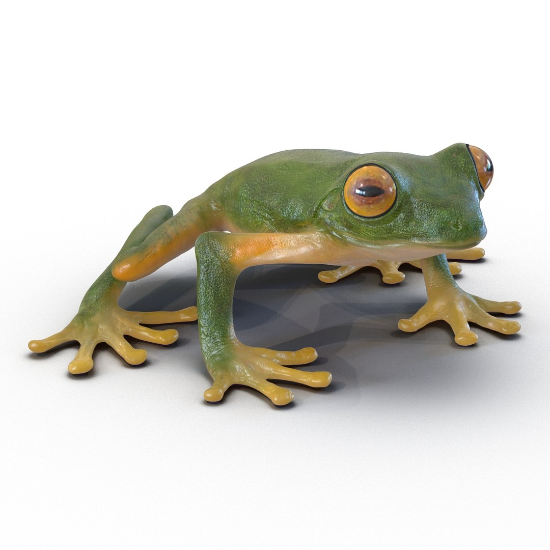3ds tree frog