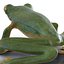 3ds tree frog