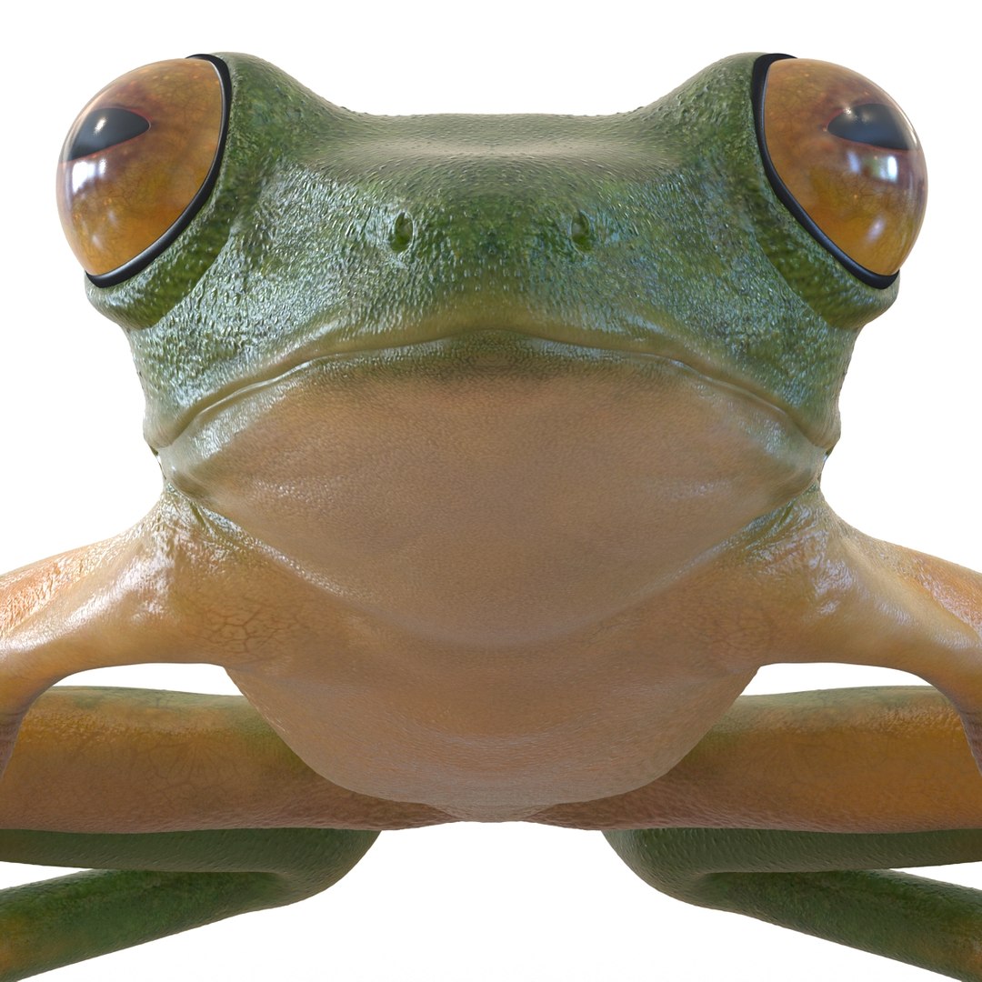 3ds tree frog
