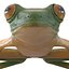 3ds tree frog