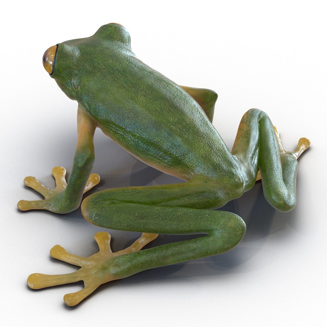 3ds tree frog