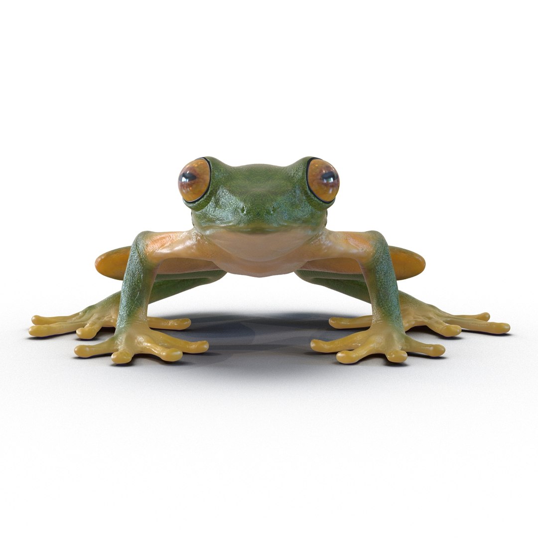 3ds tree frog