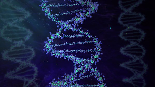 DNA STRUCTURE 3D model - TurboSquid 1972999