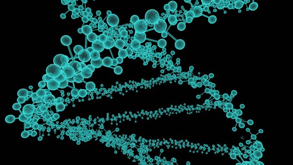Dna Structure 3d Model Turbosquid 1972999