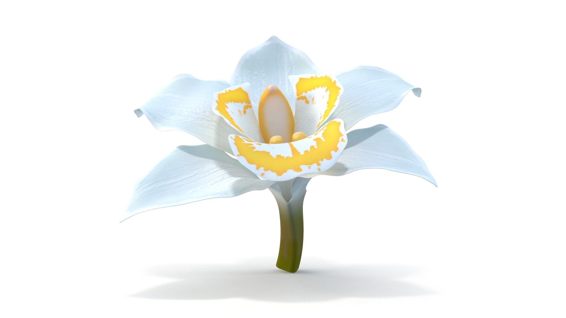 3D Orchids Cymbidium Flower - High-Quality 3D Model For Realistic ...