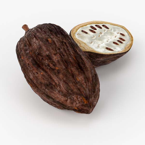 modelo 3d Cacao Pod Realista - TurboSquid 884067