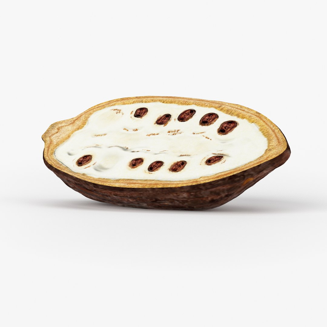 Realistic Cocoa Pod Real 3d X