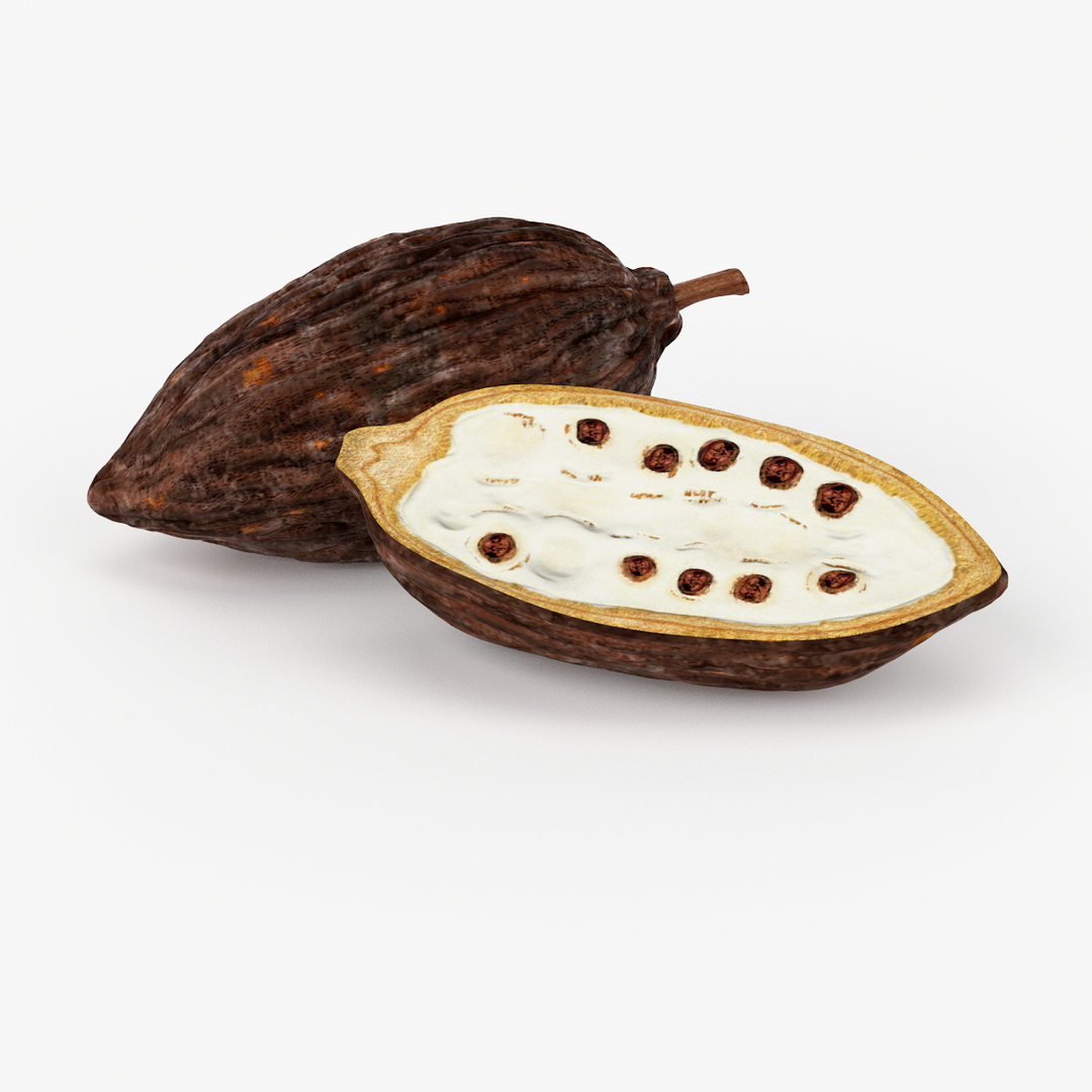 Realistic Cocoa Pod Real 3d X