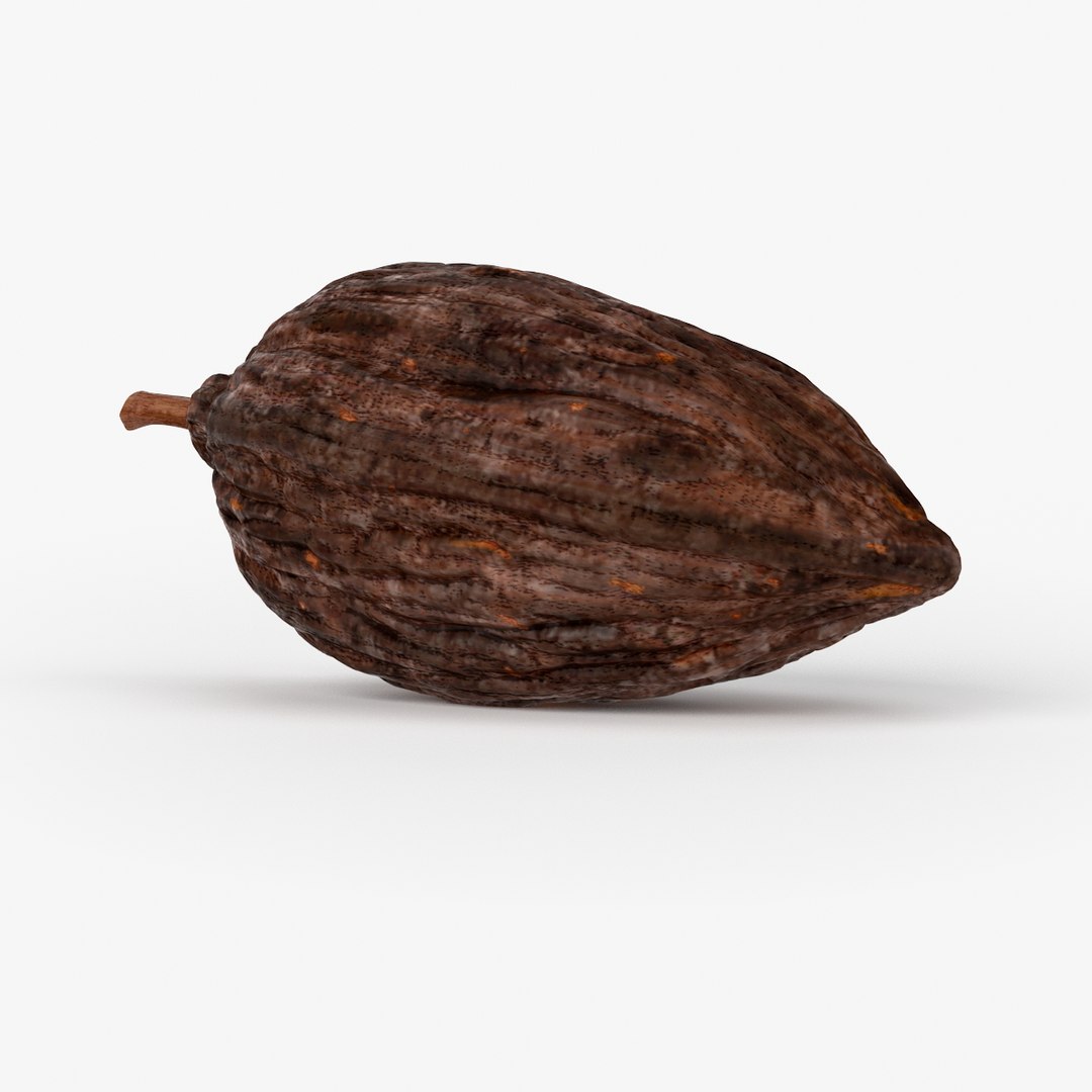 Realistic Cocoa Pod Real 3d X