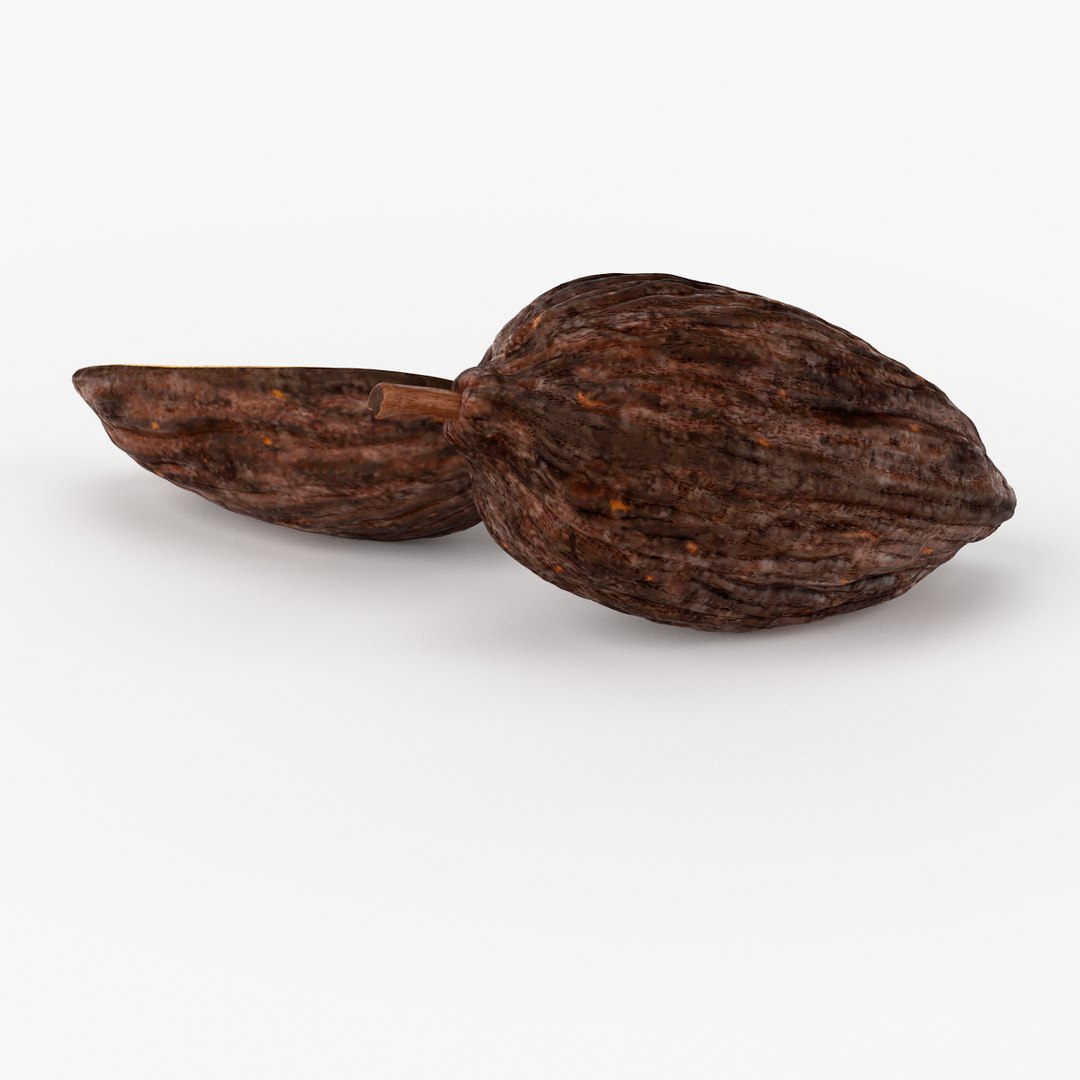 Realistic Cocoa Pod Real 3d X
