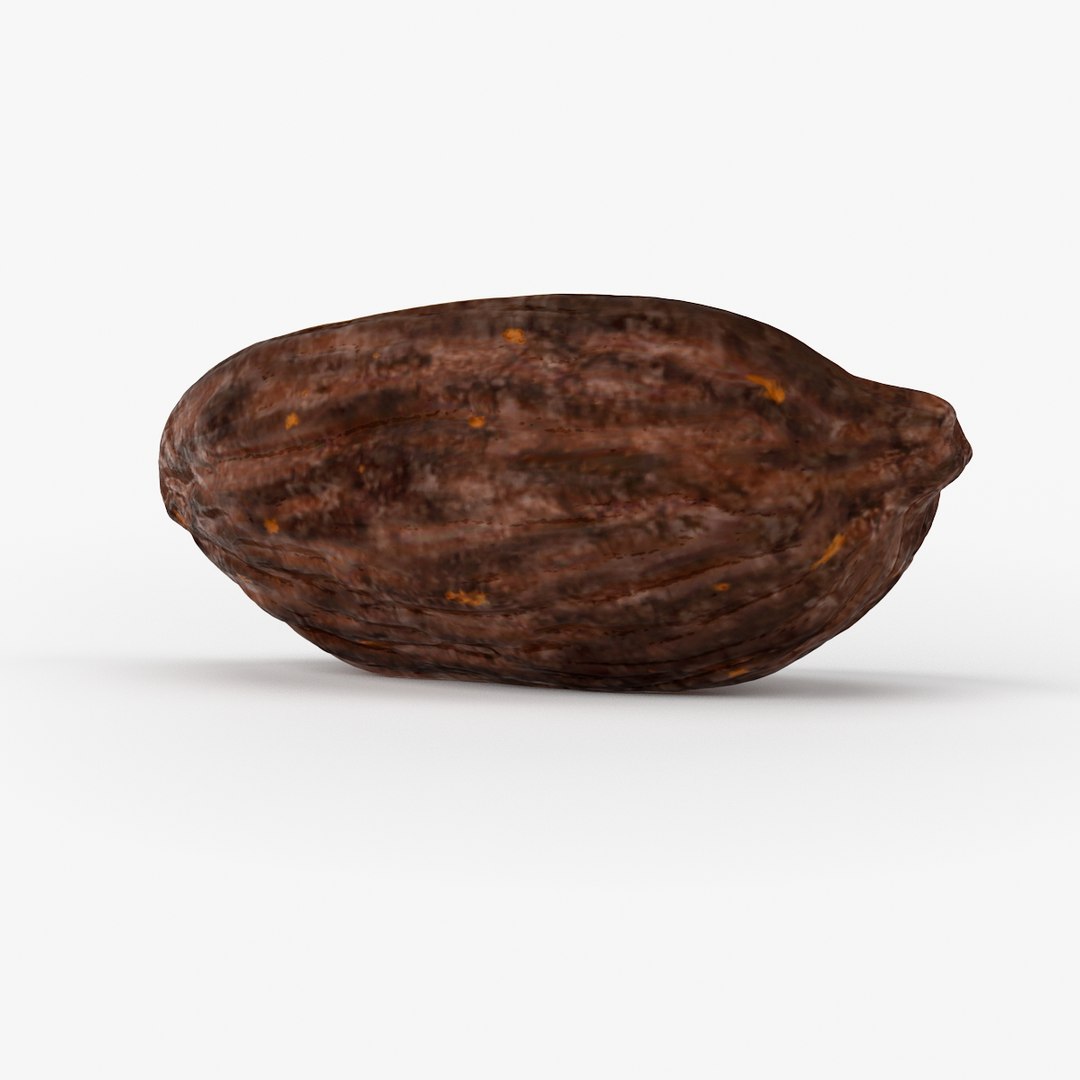 Realistic Cocoa Pod Real 3d X