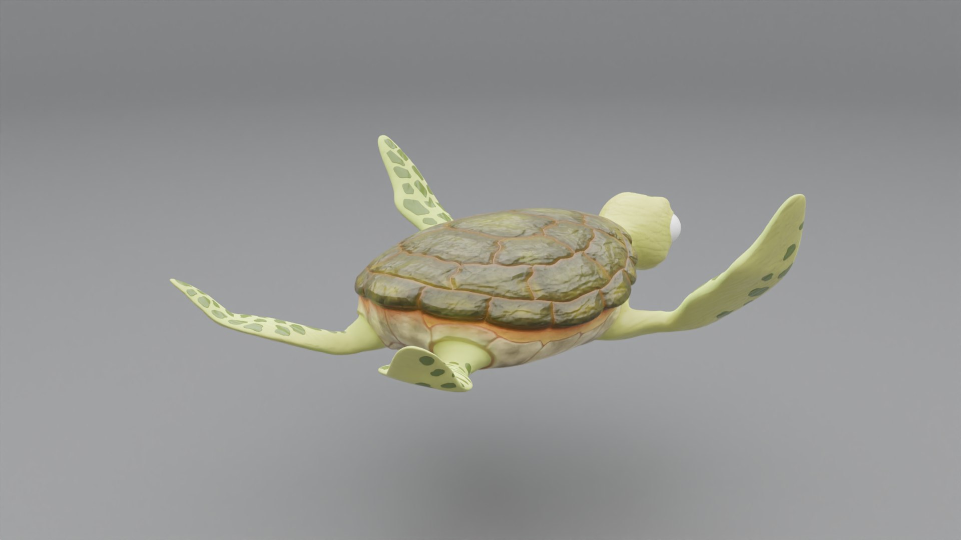 3D 3D Seaturtle Cartoon model - TurboSquid 2101532