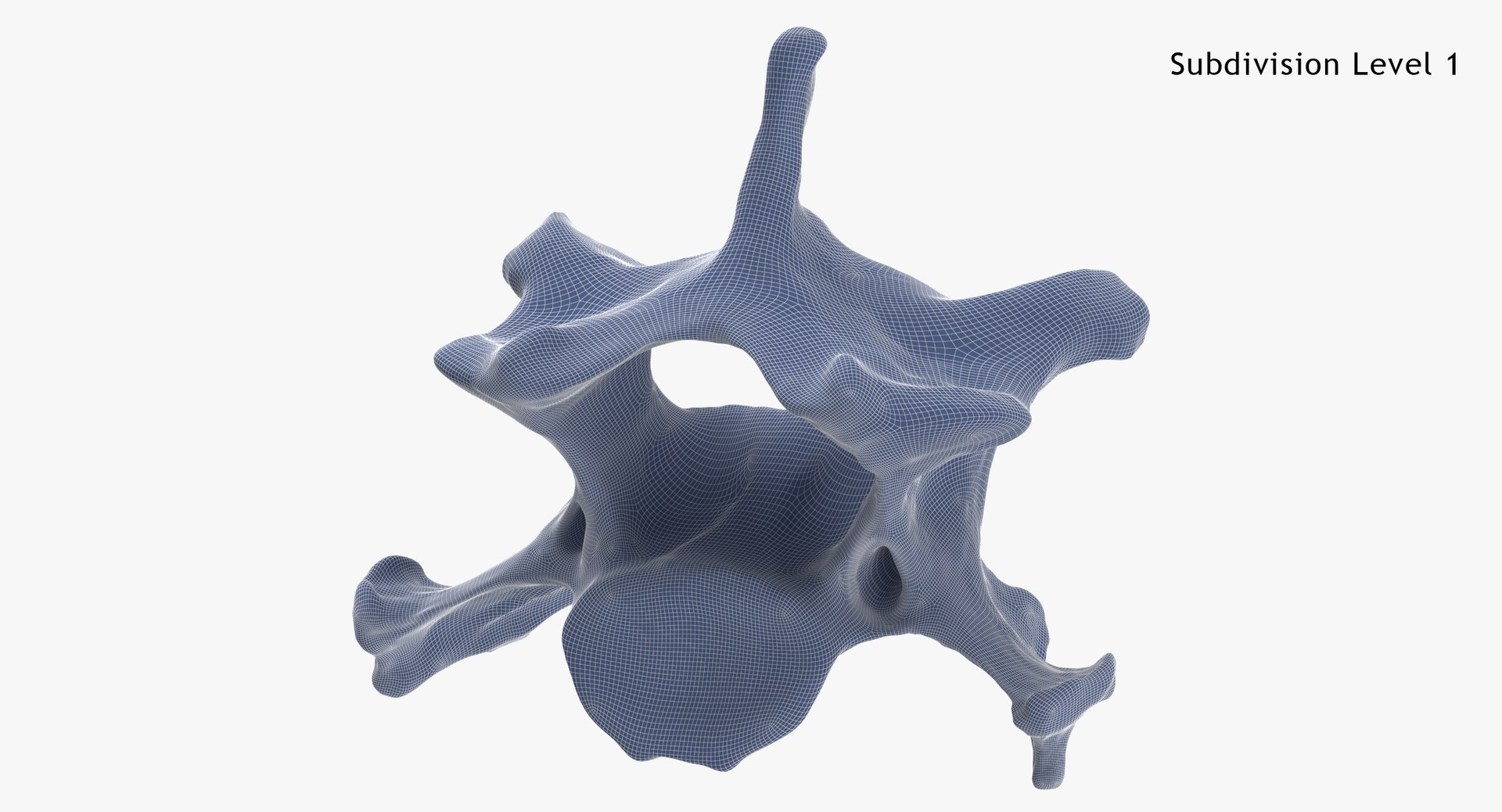 Domestic Cat Cervical Vertebrae C4 3D model - TurboSquid 1830437