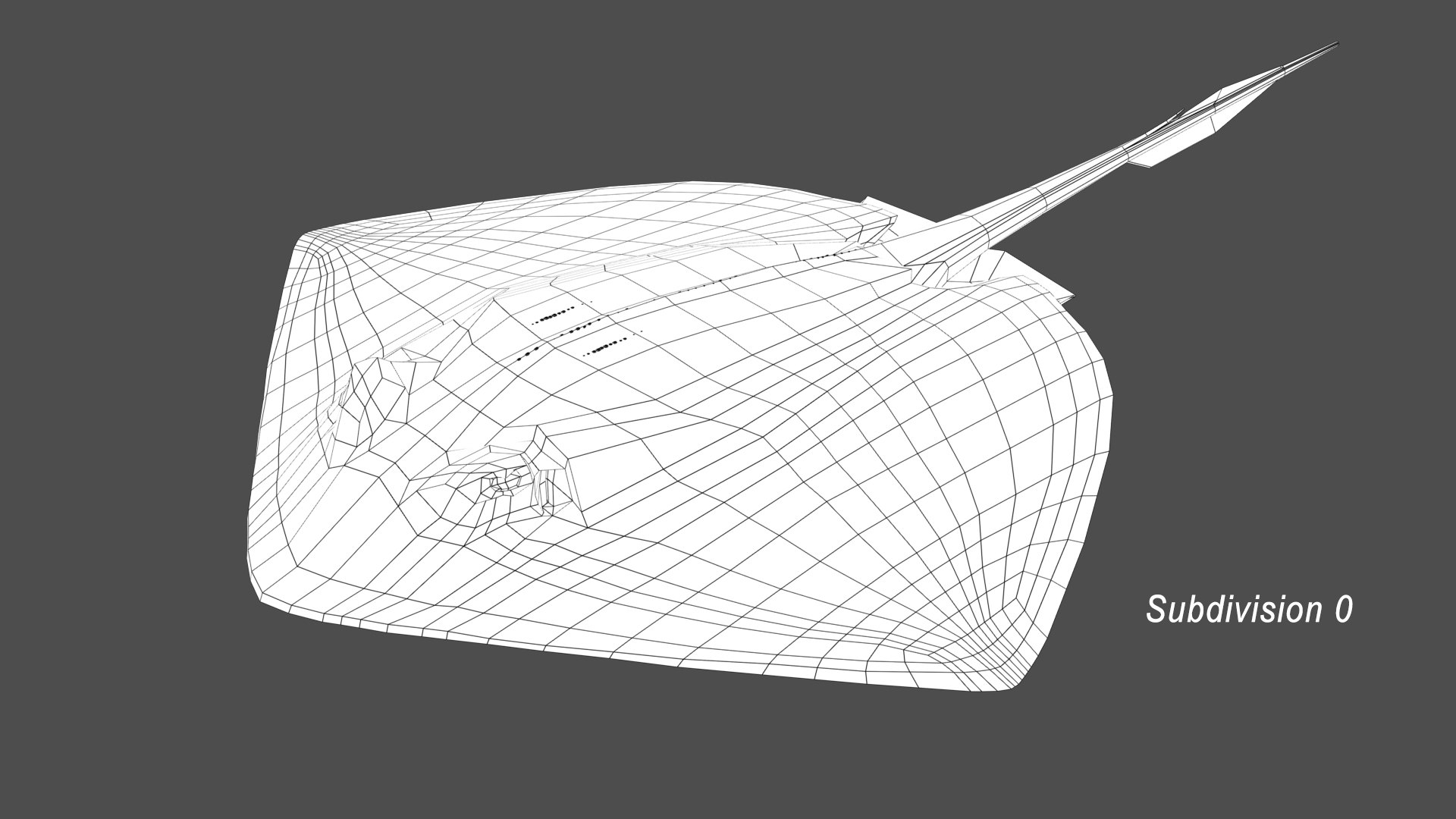 3d Realistic Stingray Model