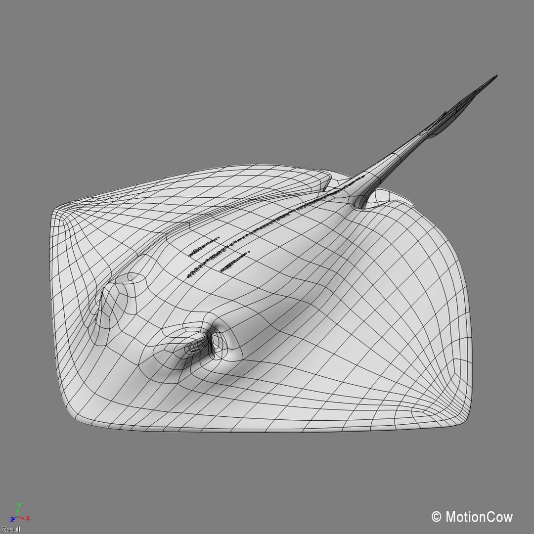 3d realistic stingray model