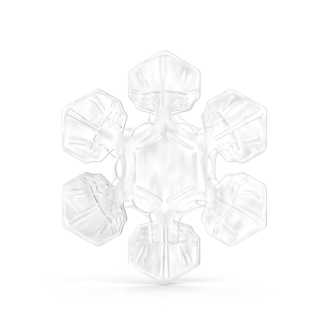Snowflake Realistic 3d Max