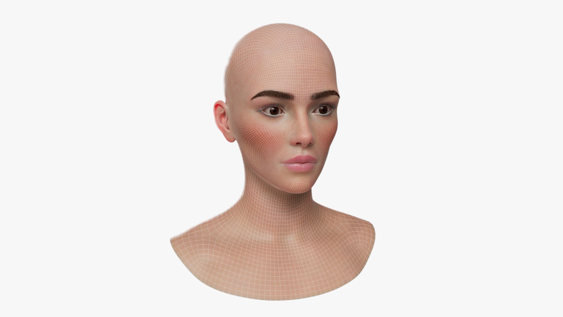 Female Head Mesh Metahuman Unreal Topology Woman Head Mesh V1 3D Model ...