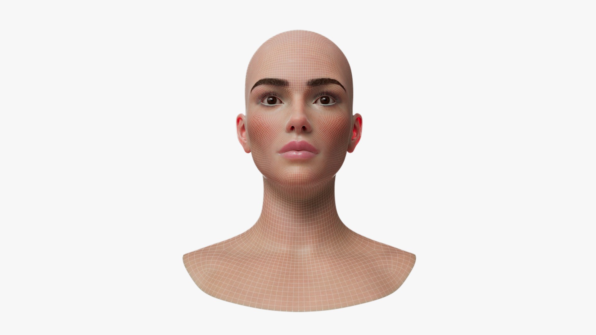 Female Head Mesh Metahuman Unreal Topology Woman Head Mesh V1 3D Model ...